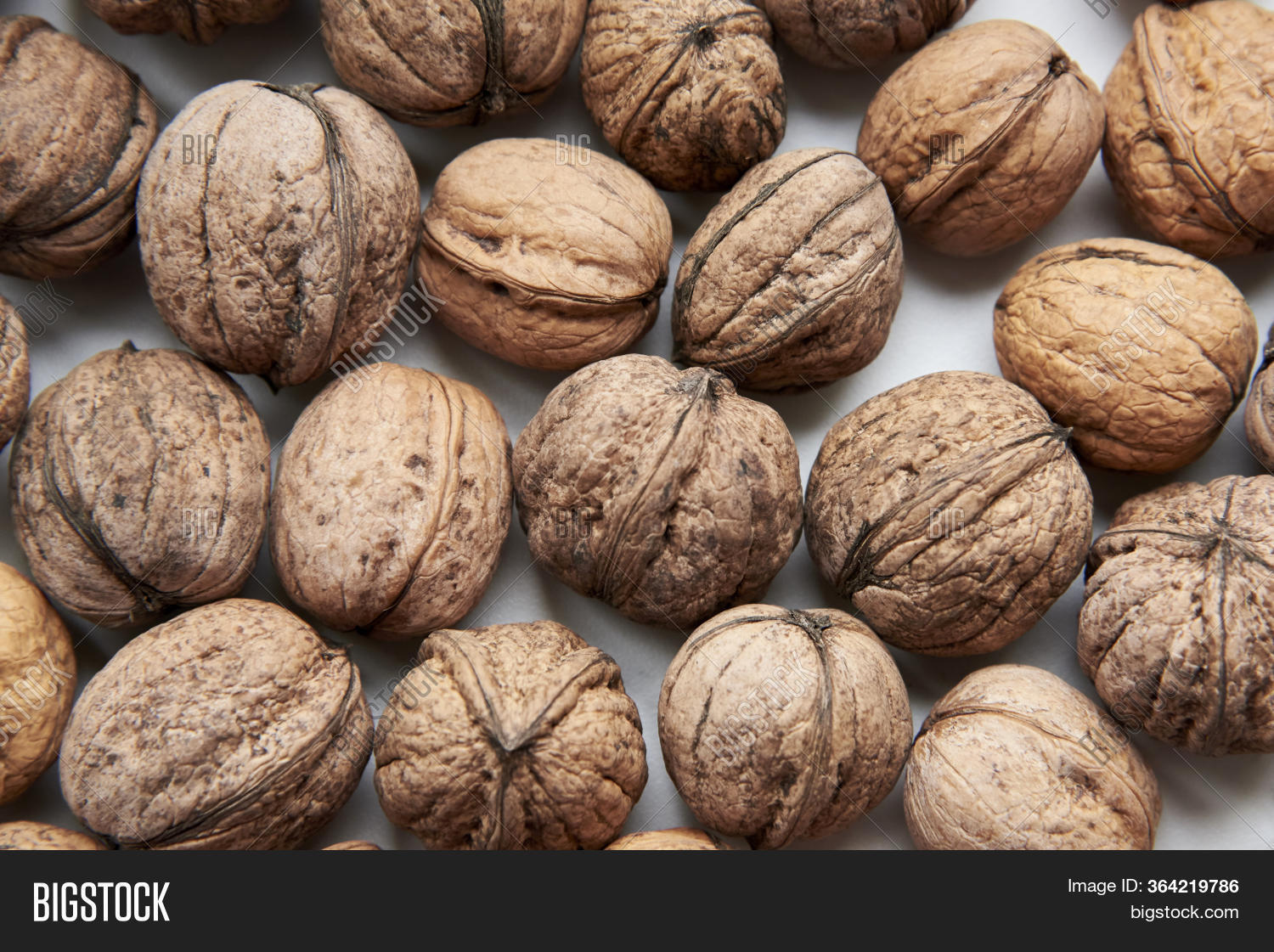 Inshell Ripe Walnut, Image & Photo (Free Trial) | Bigstock