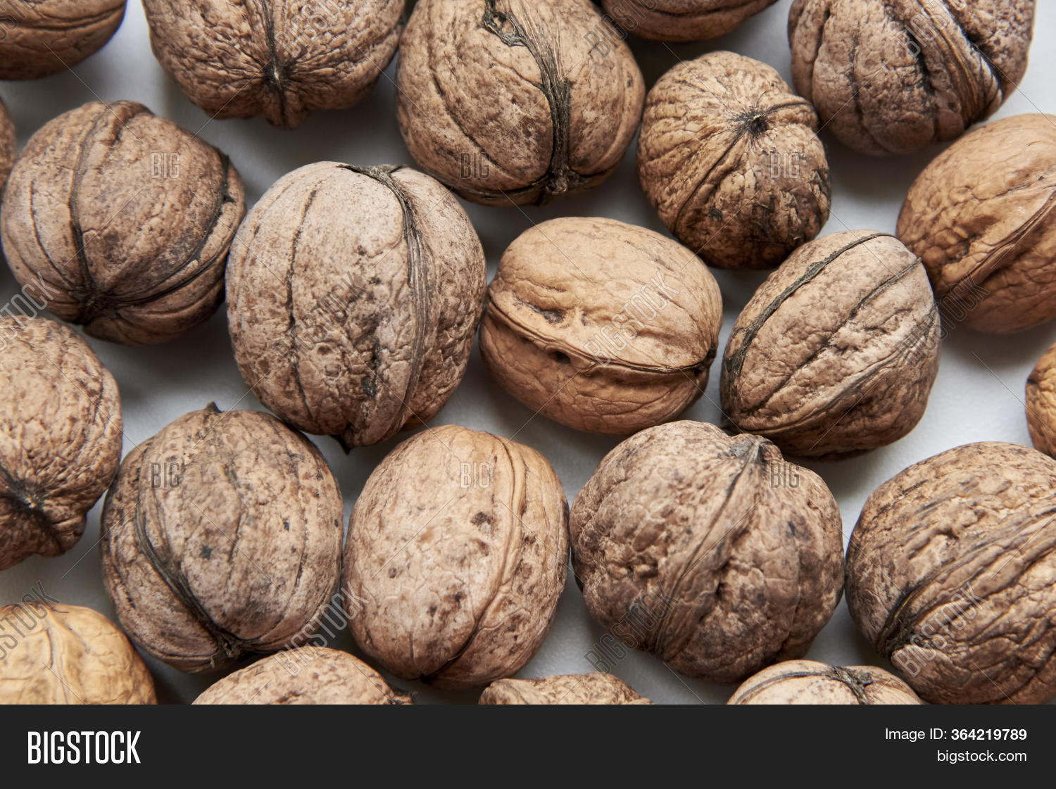 Inshell Ripe Walnut, Image & Photo (Free Trial) | Bigstock