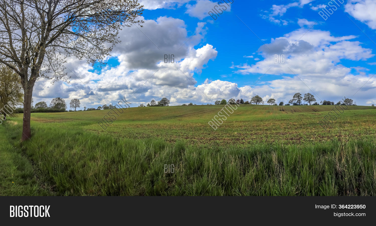 Green Field Landscape Image & Photo (Free Trial) | Bigstock