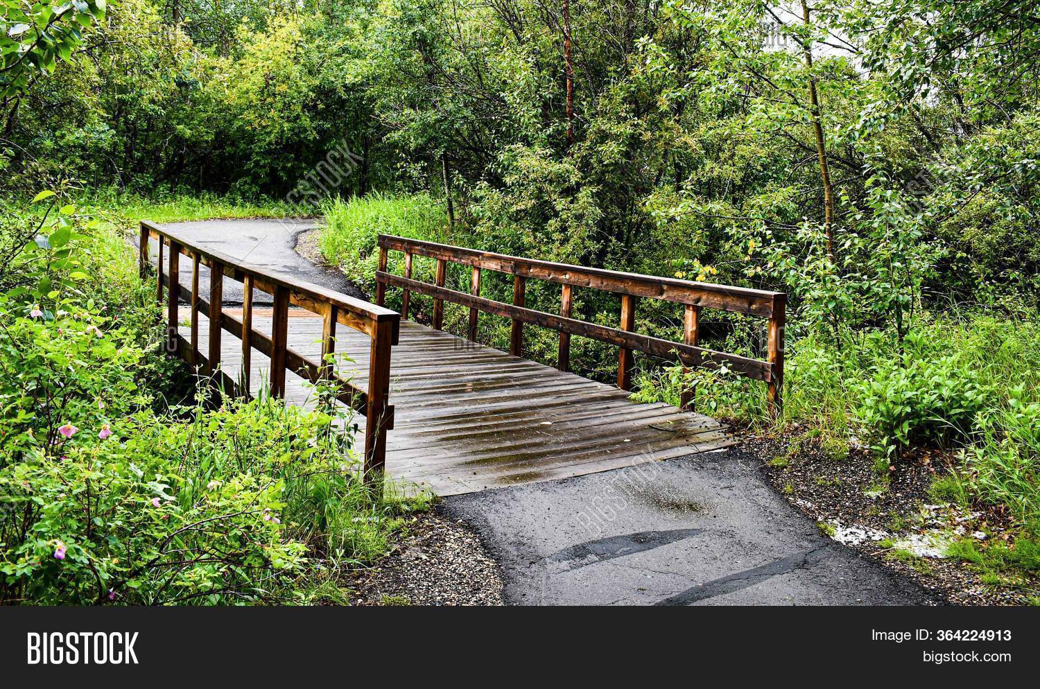 Bridge On Walking Path Image & Photo (Free Trial) | Bigstock