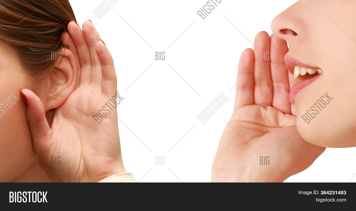 Woman Speaking Woman Image & Photo (Free Trial) | Bigstock