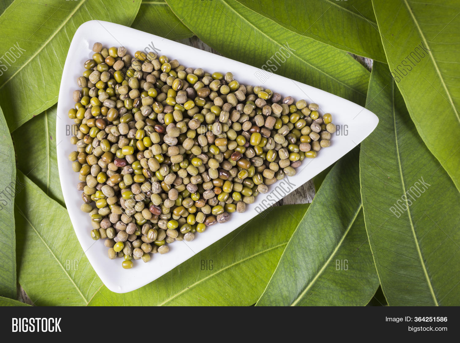Bowl Mung Bean Grains Image & Photo (Free Trial) | Bigstock