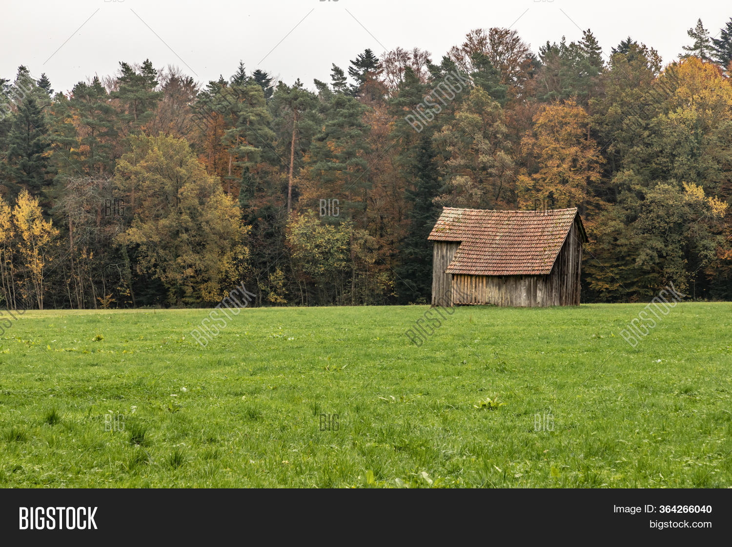Wood House Field Image & Photo (Free Trial) | Bigstock