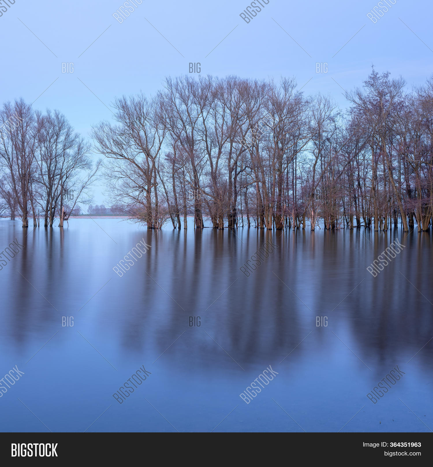 Flooded Trees Flood Image & Photo (Free Trial) | Bigstock
