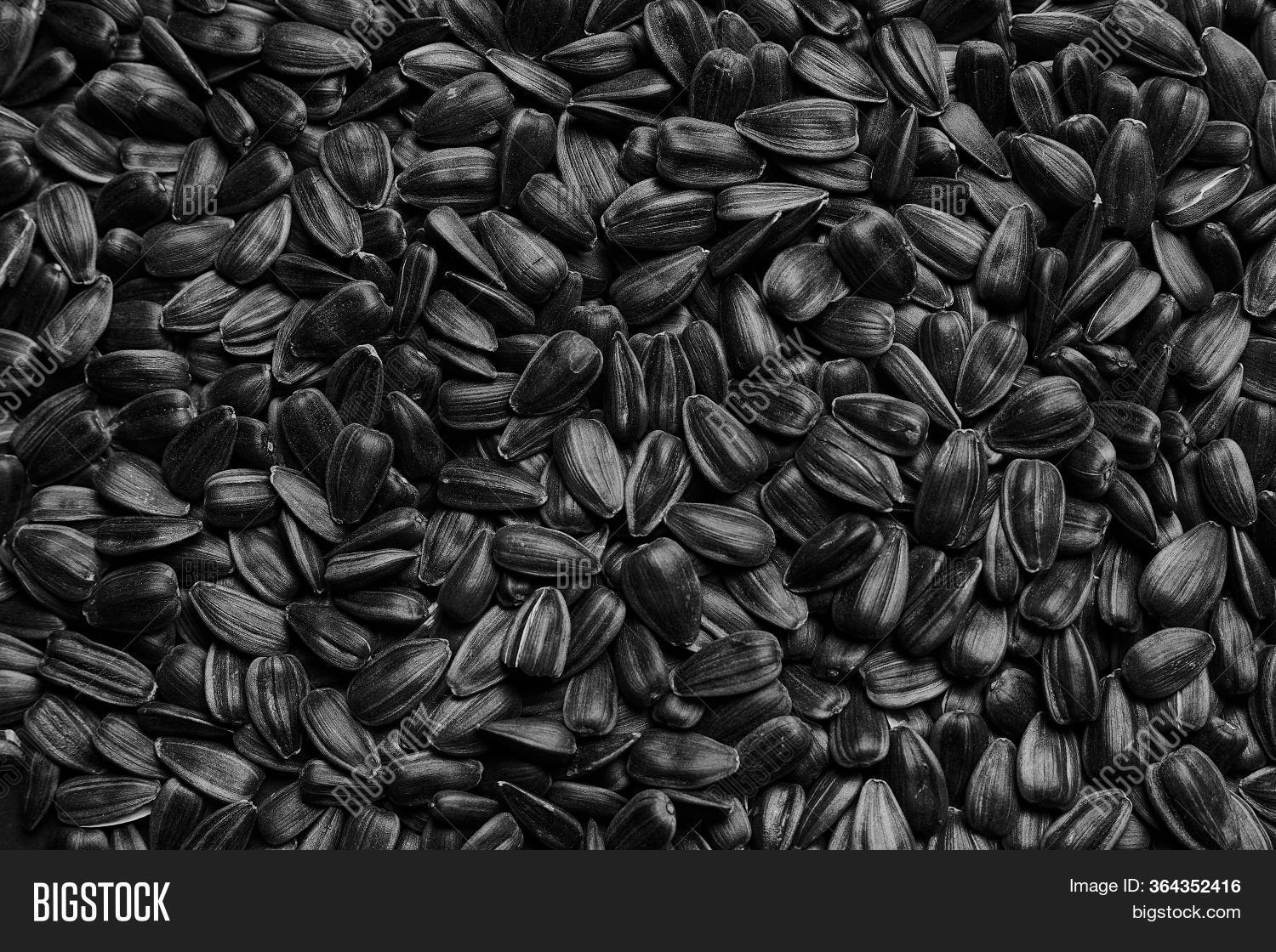 Sunflower Seed Texture Image & Photo (Free Trial) | Bigstock