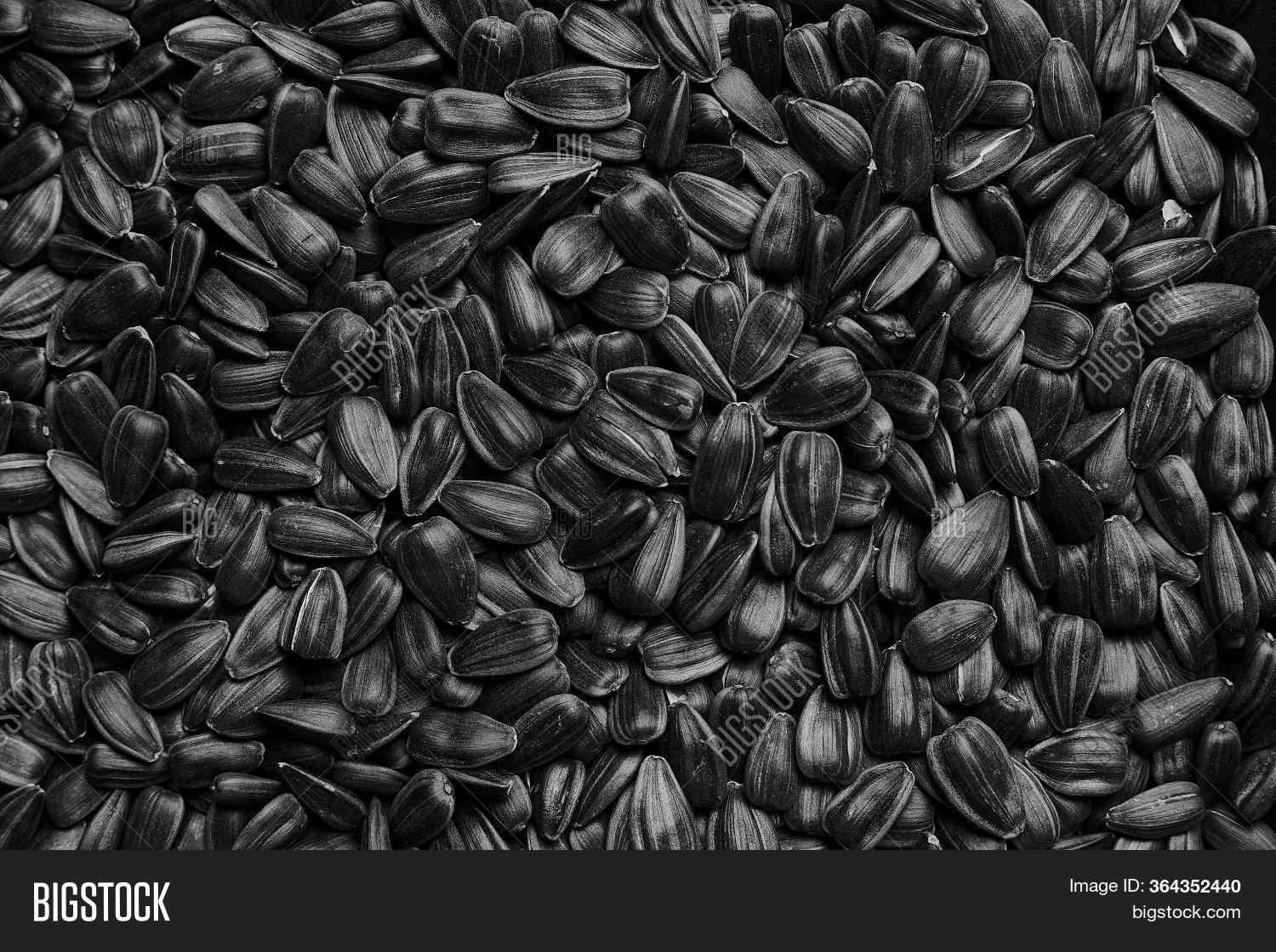 Sunflower Seed Texture Image & Photo (Free Trial) | Bigstock