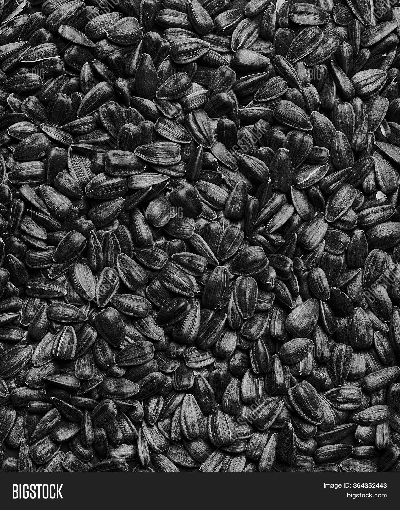 Sunflower Seed Texture Image & Photo (Free Trial) | Bigstock