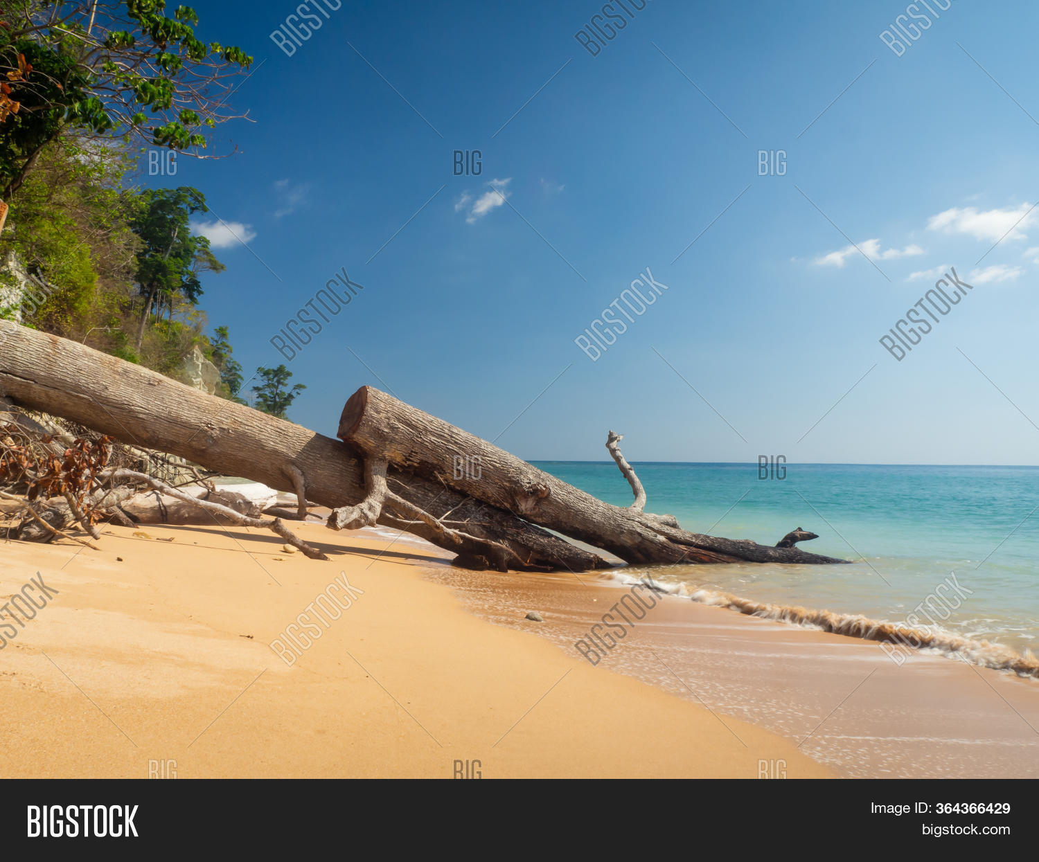 Sunny Day On Beach Image & Photo (Free Trial) | Bigstock