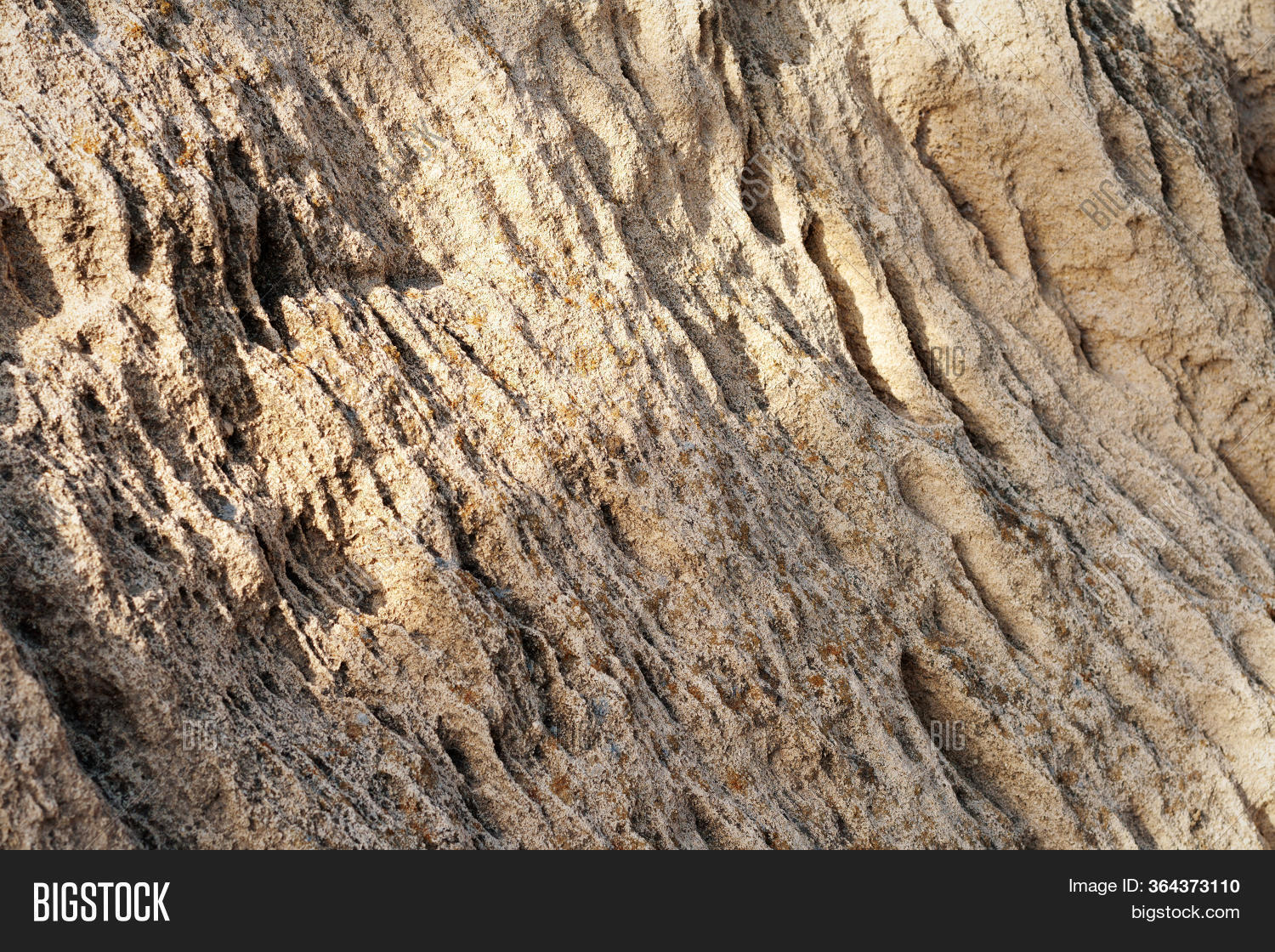 Surface Sandy Rock. Image & Photo (Free Trial) | Bigstock