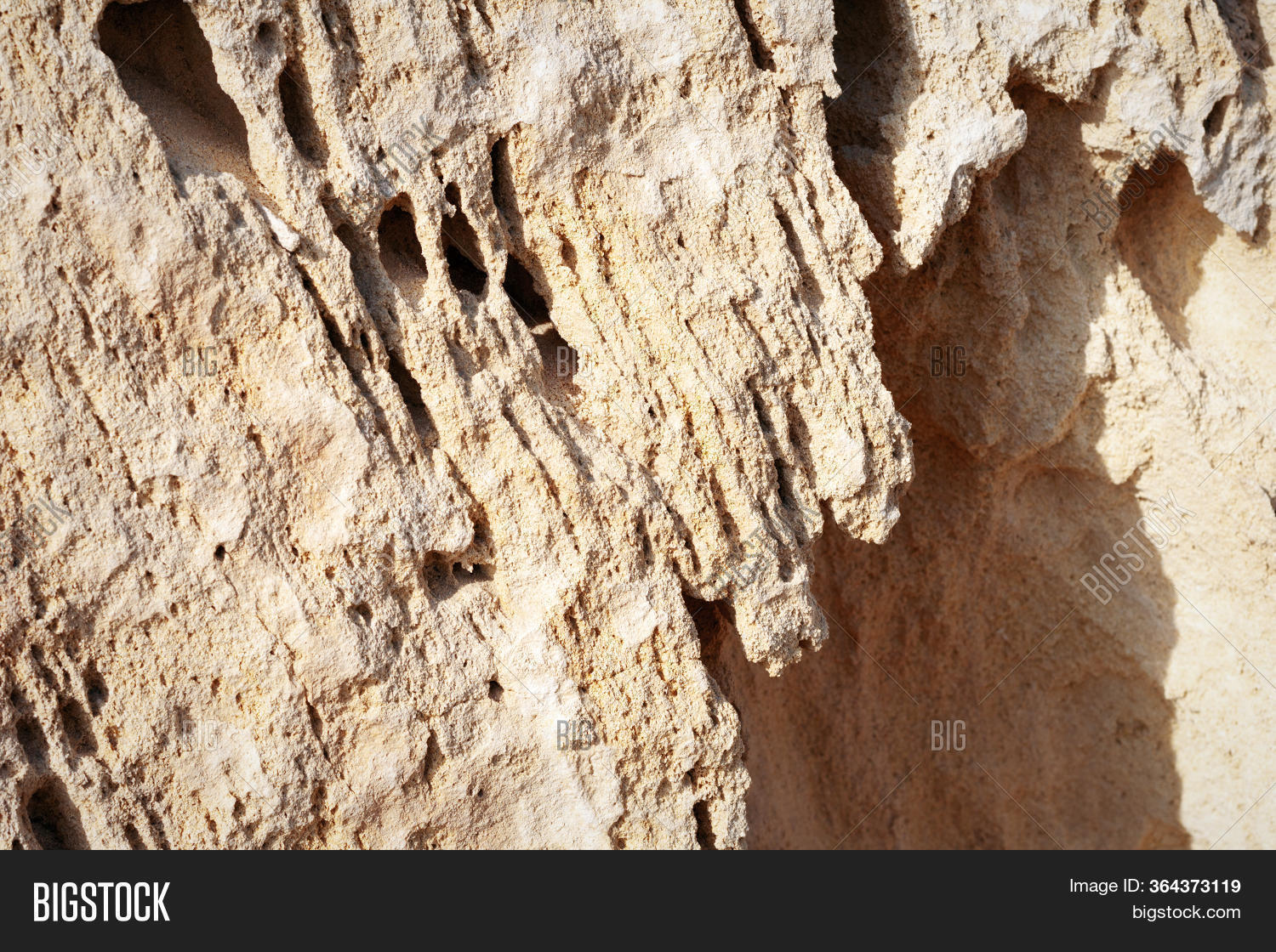 Surface Sandy Rock. Image & Photo (Free Trial) | Bigstock