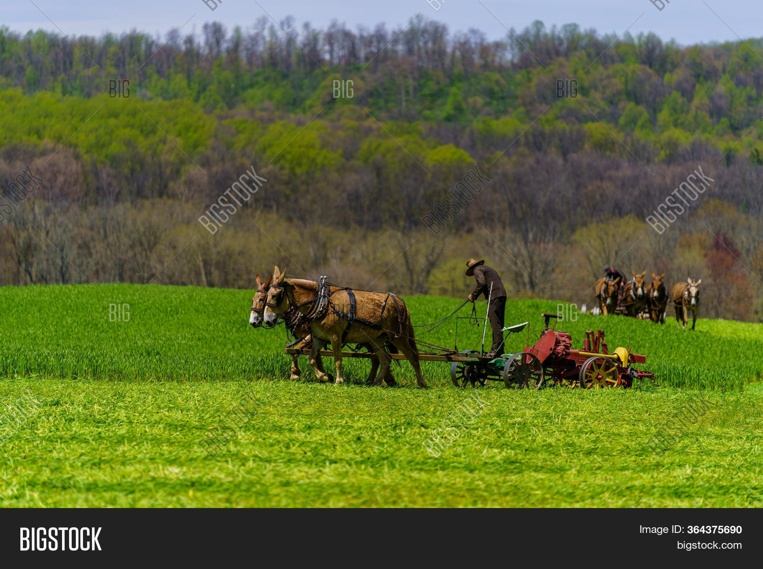 Amish Farmers Field Image & Photo (Free Trial) | Bigstock