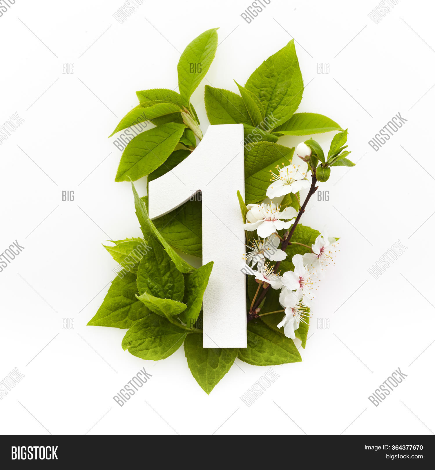 Number One Green Image & Photo (Free Trial) | Bigstock