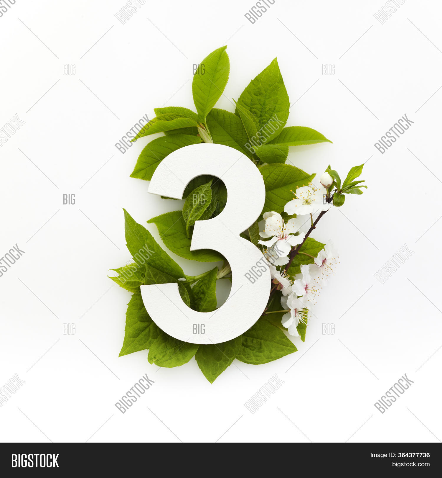 Number Three Green Image & Photo (Free Trial) | Bigstock