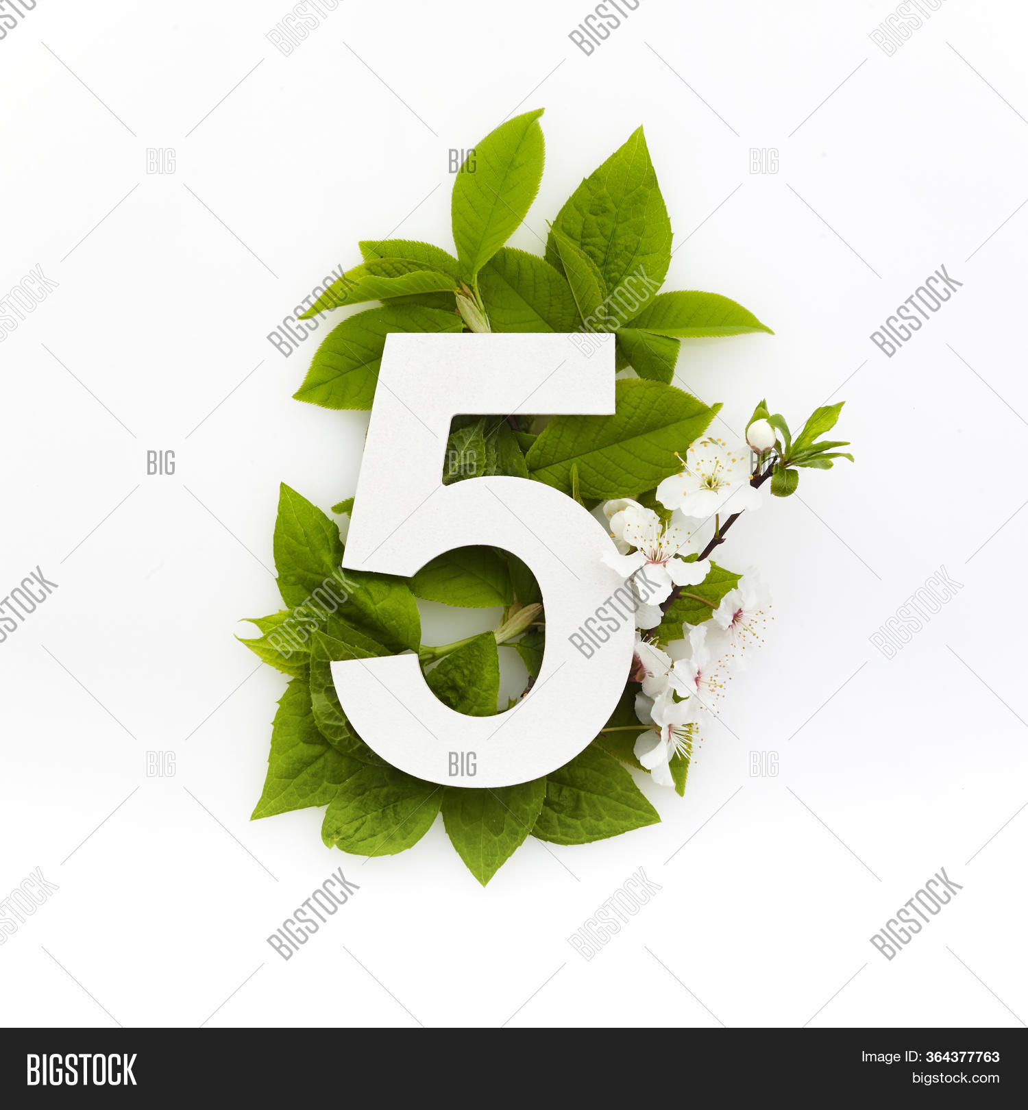 Number Five Green Image & Photo (Free Trial) | Bigstock
