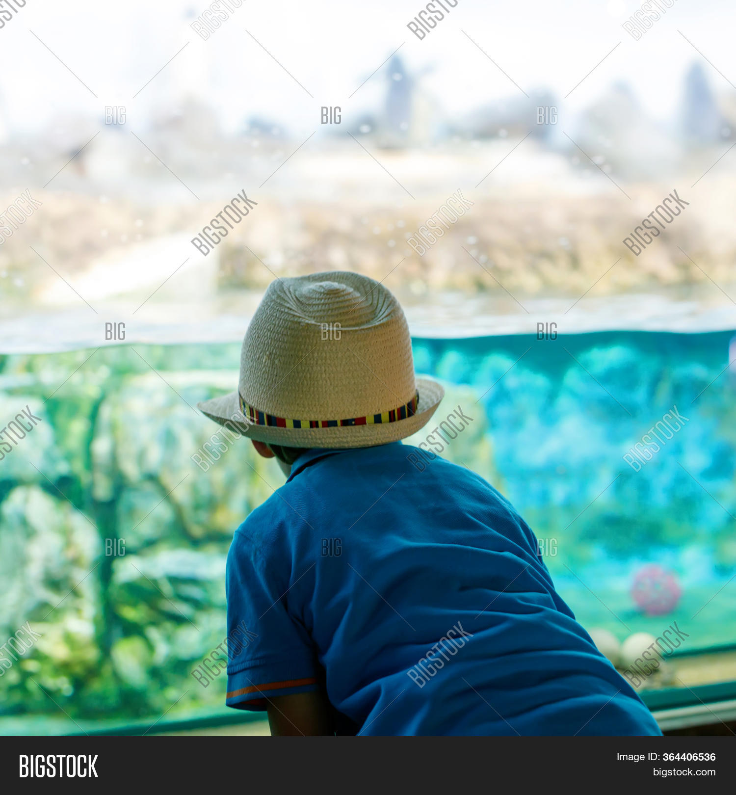 Little Kid Boy Admire Image & Photo (Free Trial) | Bigstock