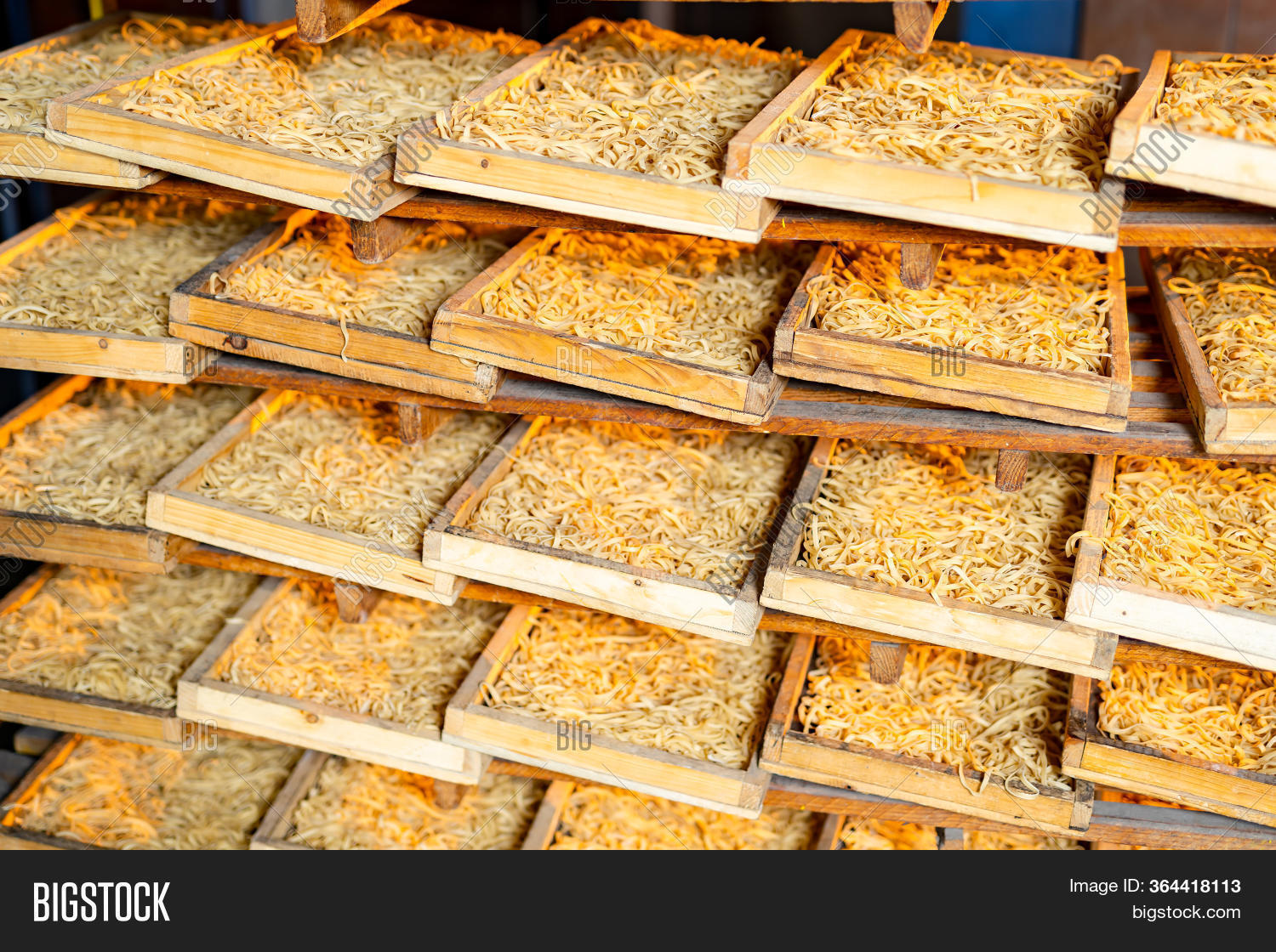 Pasta Plant Pasta Image & Photo (Free Trial) | Bigstock