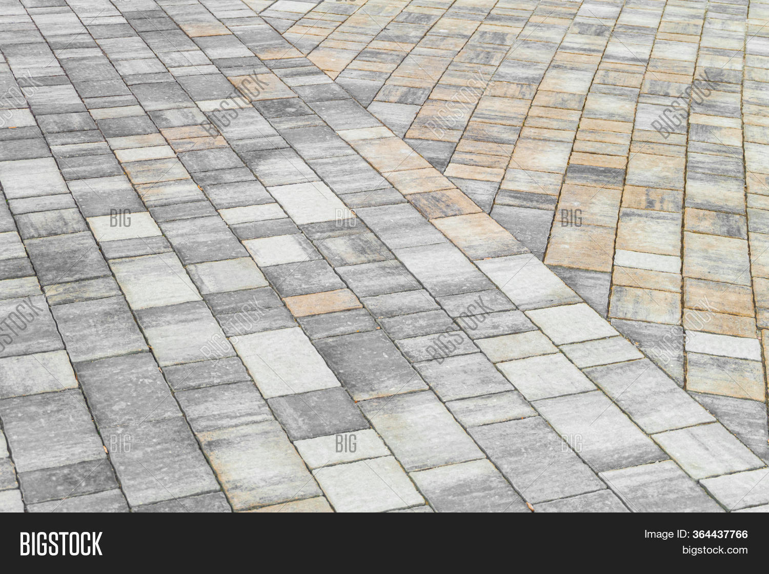 Grey Pavement Beige Image & Photo (Free Trial) | Bigstock