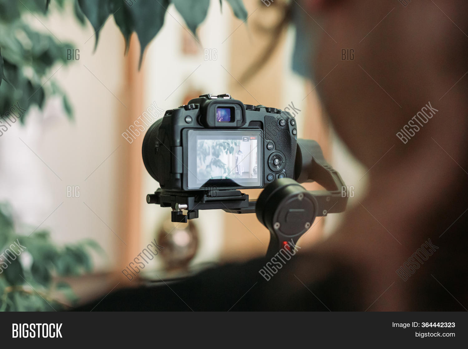 Videographer Recording Image & Photo (Free Trial) | Bigstock