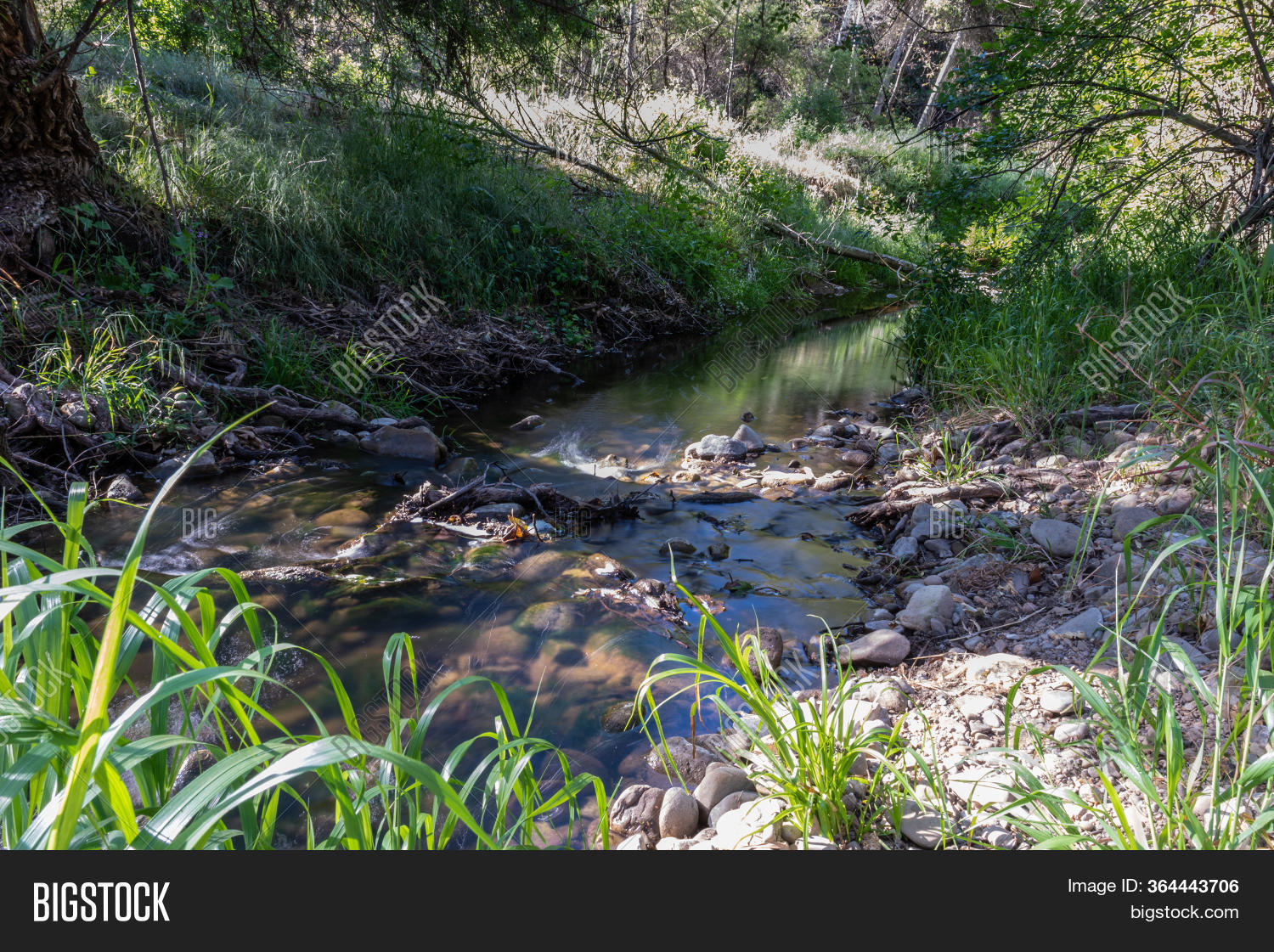 Flowing Creek Over Image & Photo (Free Trial) | Bigstock