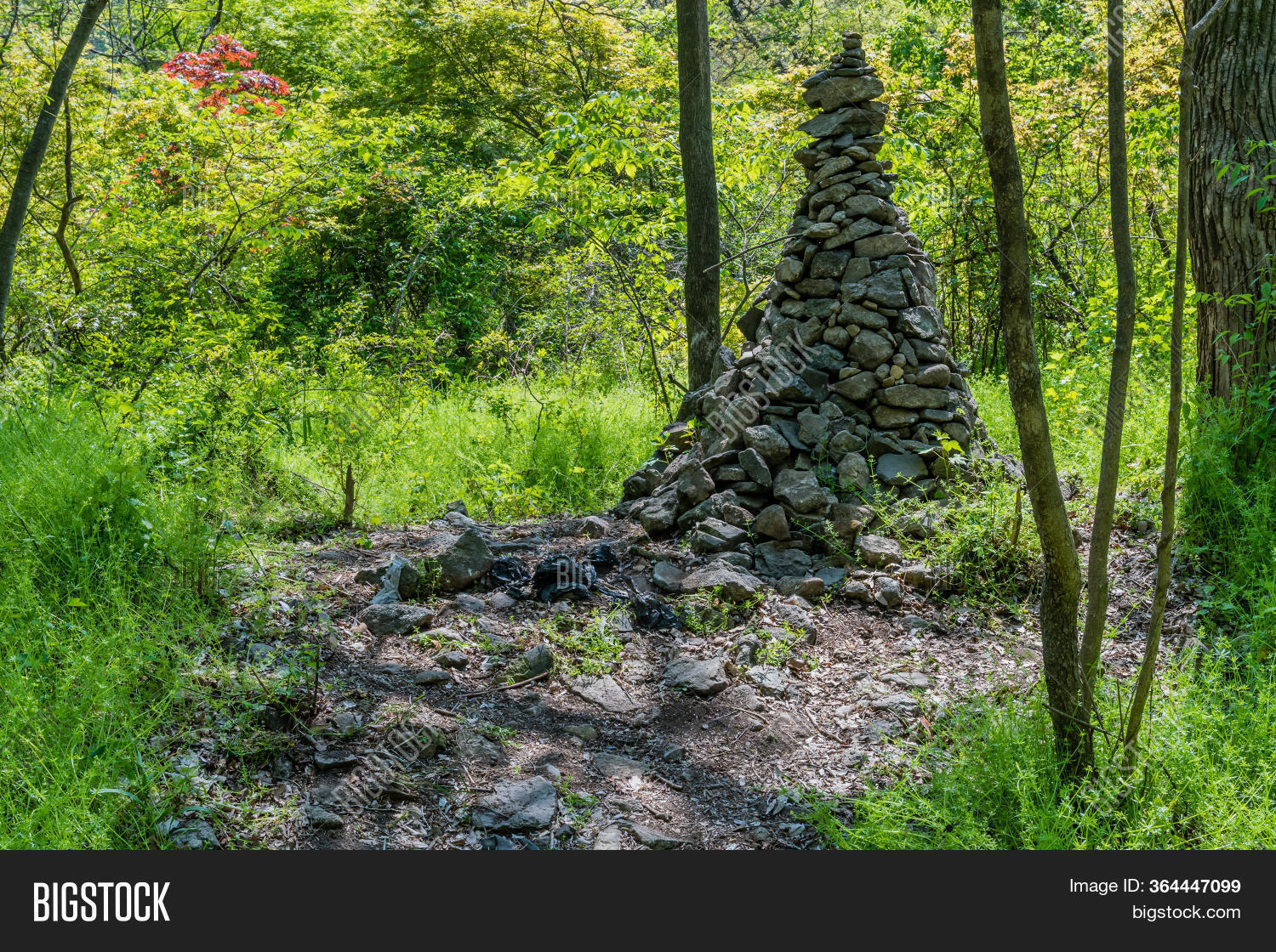Tall Pyramid Stacked Image & Photo (Free Trial) | Bigstock