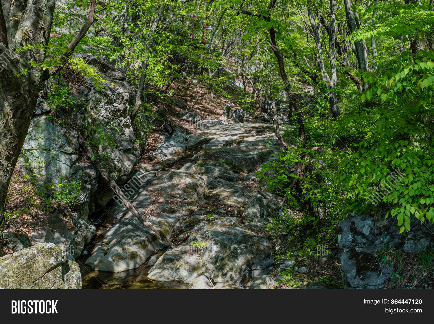 Dried Riverbed Image & Photo (Free Trial) | Bigstock