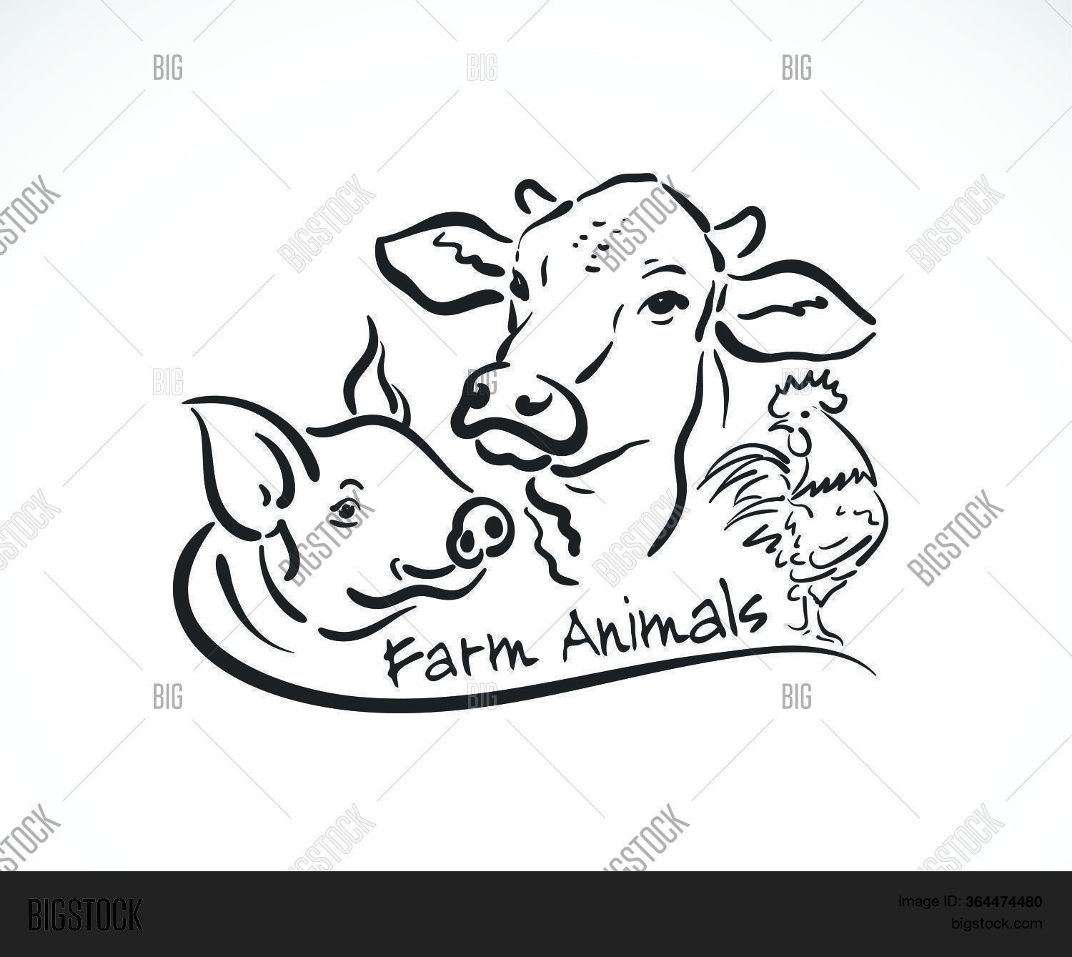 Vector Group Animal Vector & Photo (Free Trial) | Bigstock