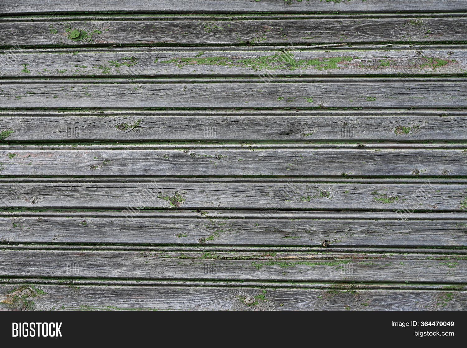 Moss Covered Boards. Image & Photo (Free Trial) | Bigstock
