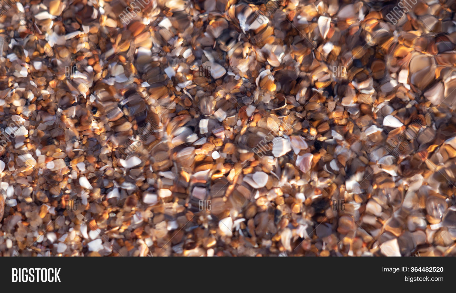 Small Pieces Shells Image & Photo (Free Trial) | Bigstock