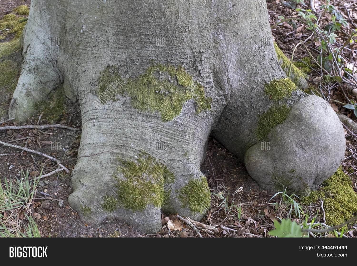 Detail Photo Bottom Image & Photo (Free Trial) | Bigstock
