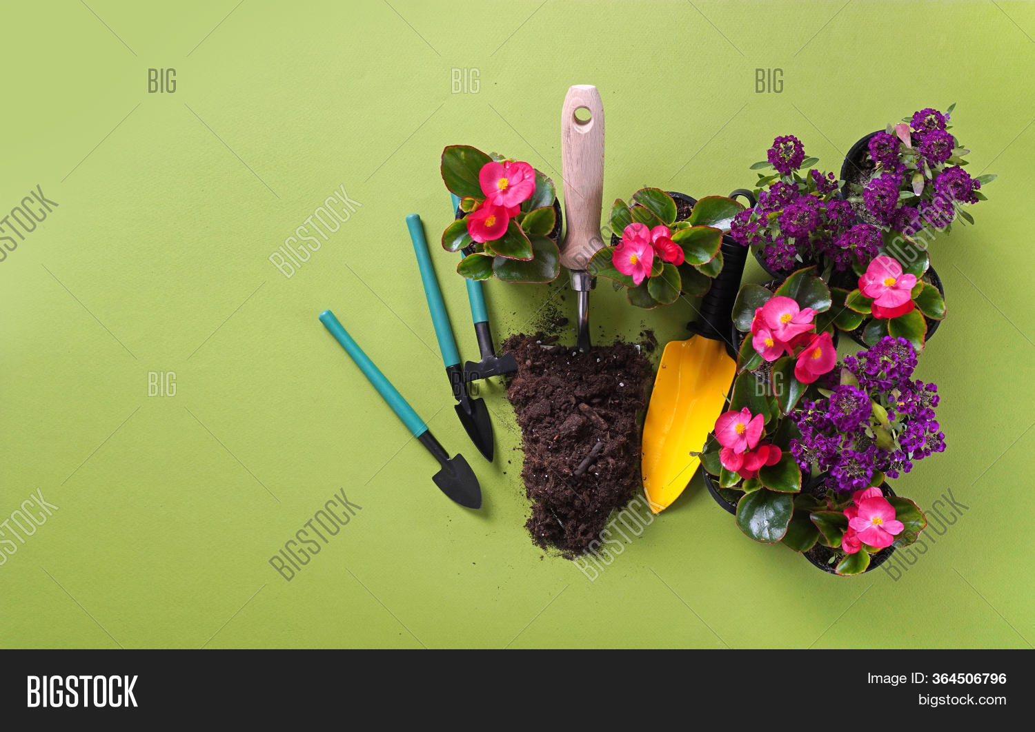 Spring Flowers Pots, Image & Photo (Free Trial) | Bigstock