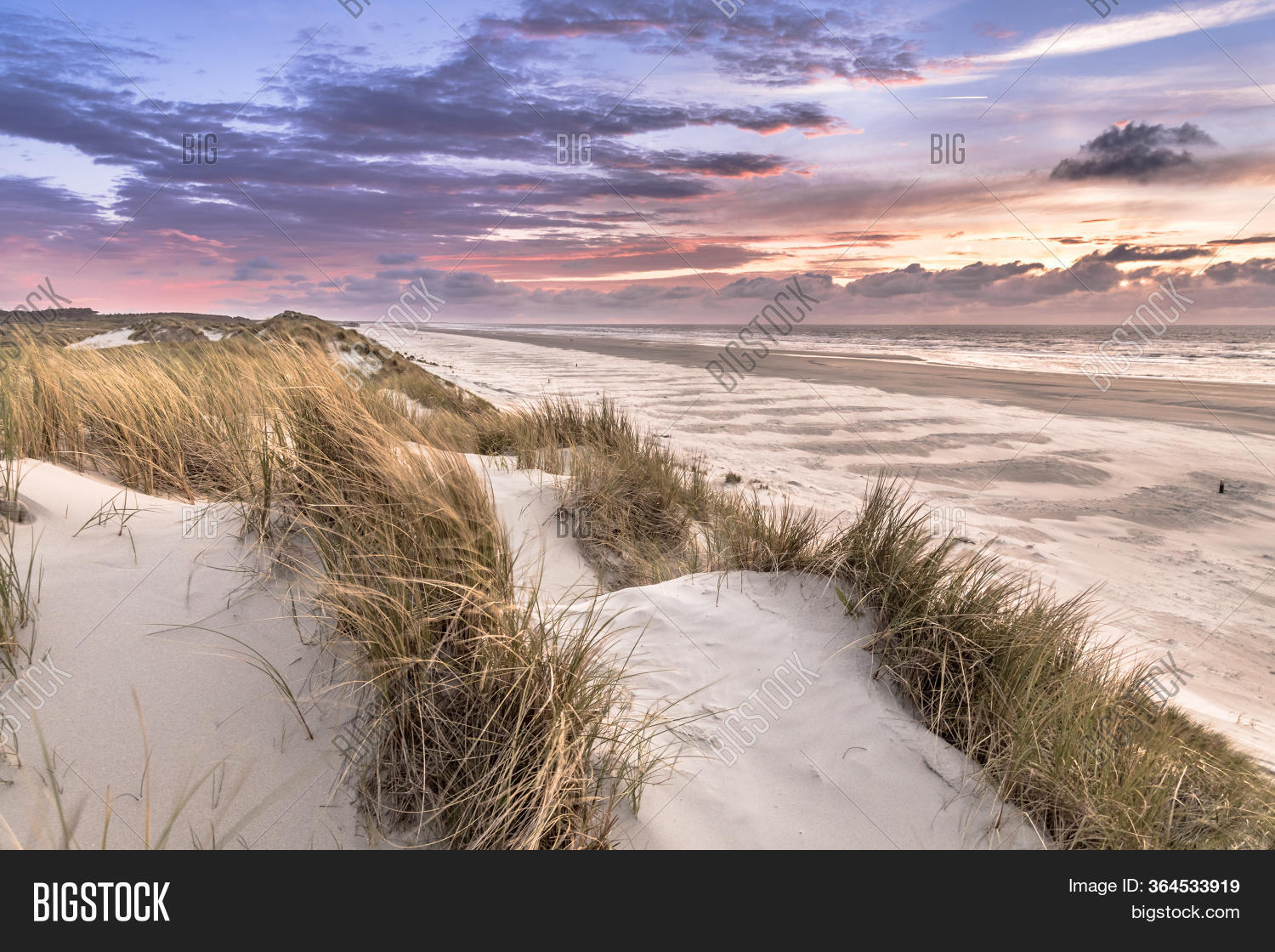 View Dune Top Over Image & Photo (Free Trial) | Bigstock