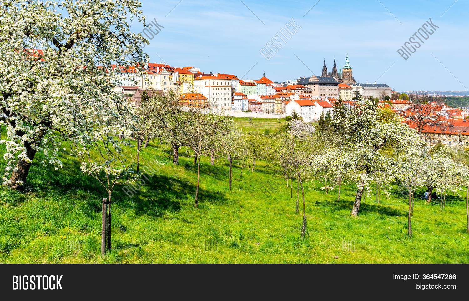 Spring Prague. Image & Photo (Free Trial) | Bigstock