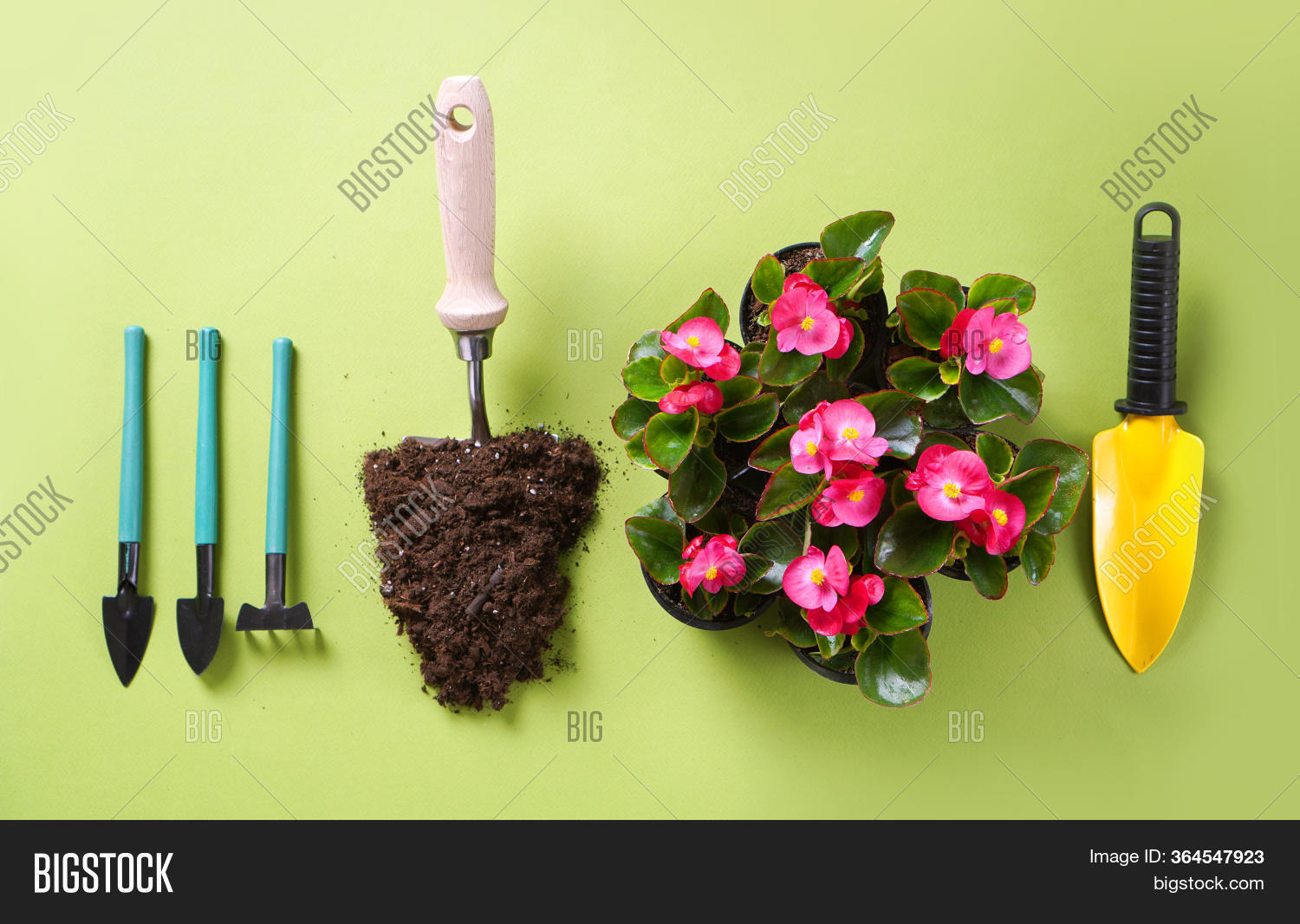 Spring Flowers Pots, Image & Photo (Free Trial) | Bigstock