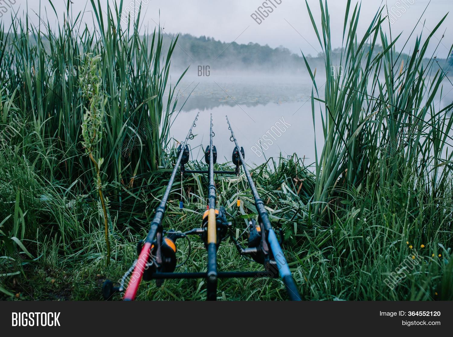 Three Carp Fishing Image & Photo (Free Trial) | Bigstock