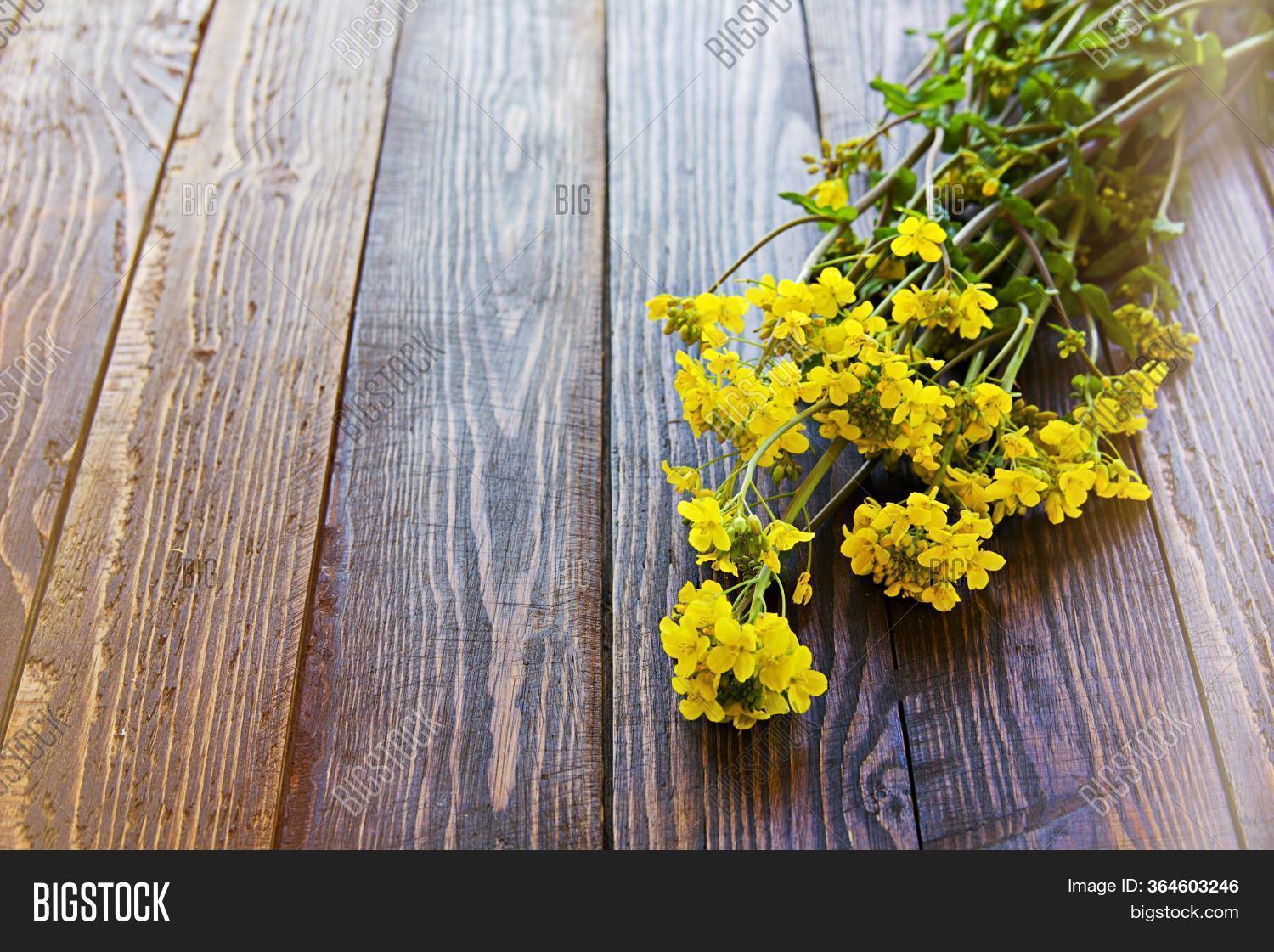 Bouquet Rapeseed Image & Photo (Free Trial) | Bigstock