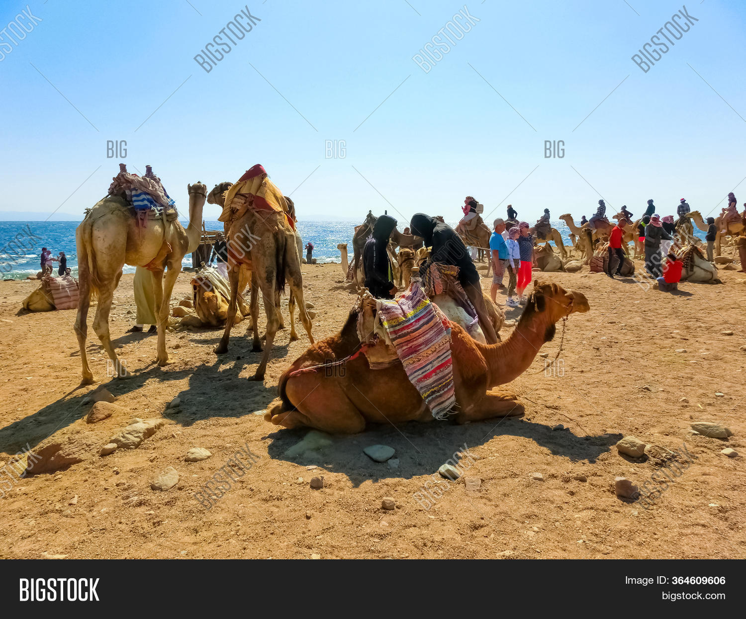 Sharm El Sheikh, Egypt Image & Photo (Free Trial) | Bigstock