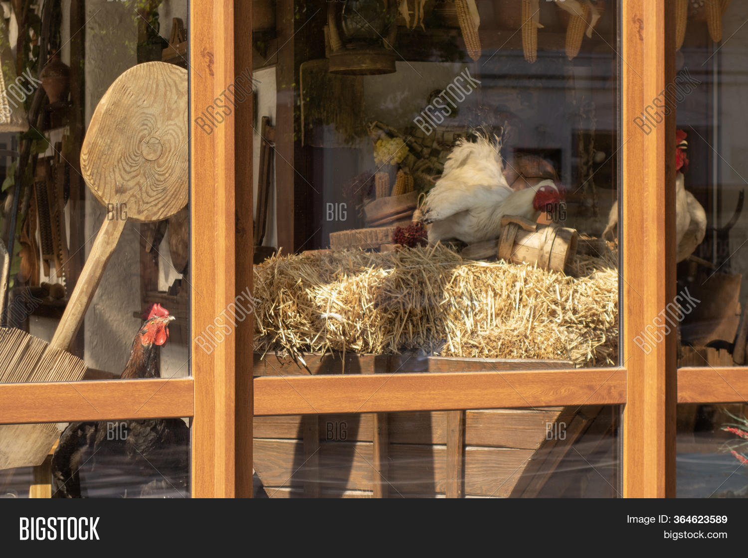 Hens Rooster On Hay Image & Photo (Free Trial) | Bigstock
