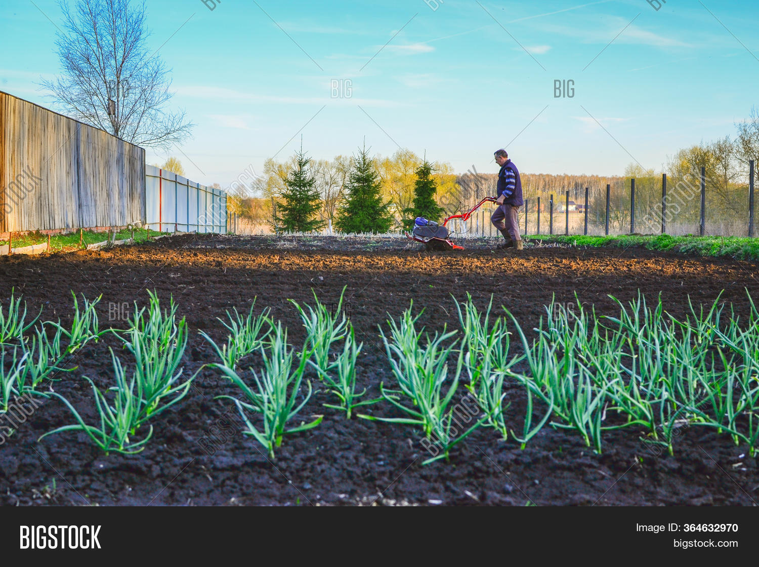 Agricultural Workers Image & Photo (Free Trial) | Bigstock