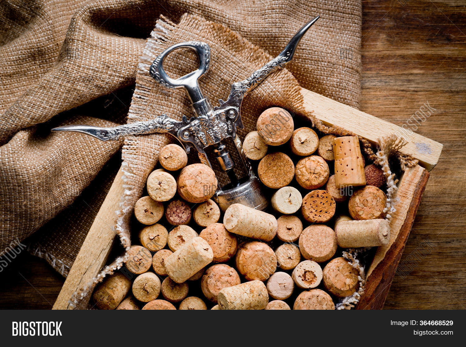 Wine Corks Different Image & Photo (Free Trial) | Bigstock
