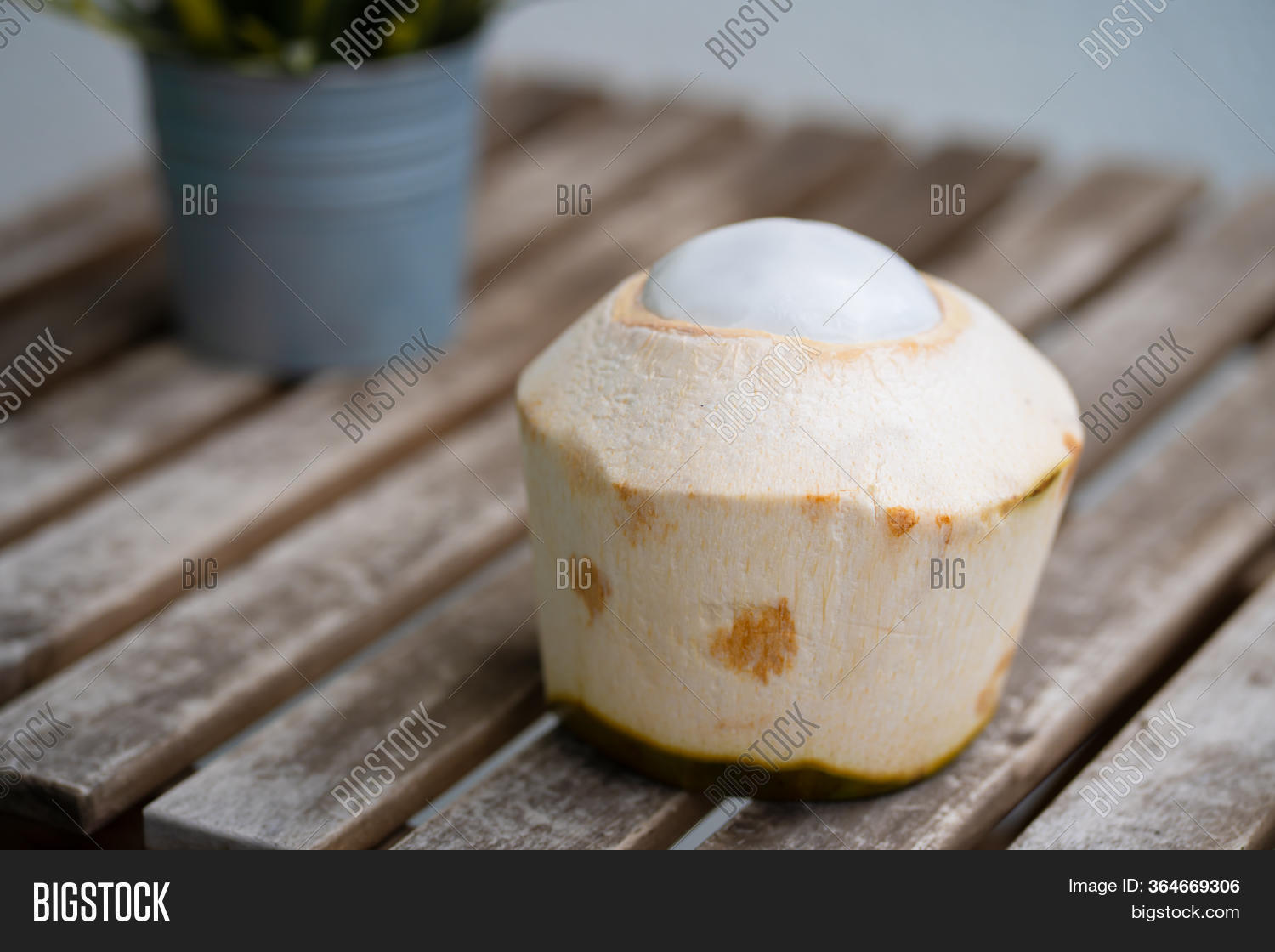 Peeled Coconut Ready Image & Photo (Free Trial) | Bigstock