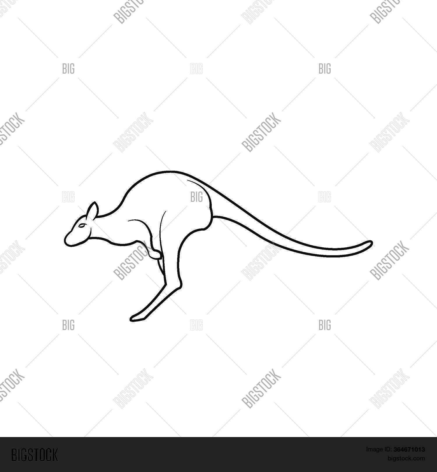 Kangaroo Pouch Mammal Vector & Photo (Free Trial) | Bigstock