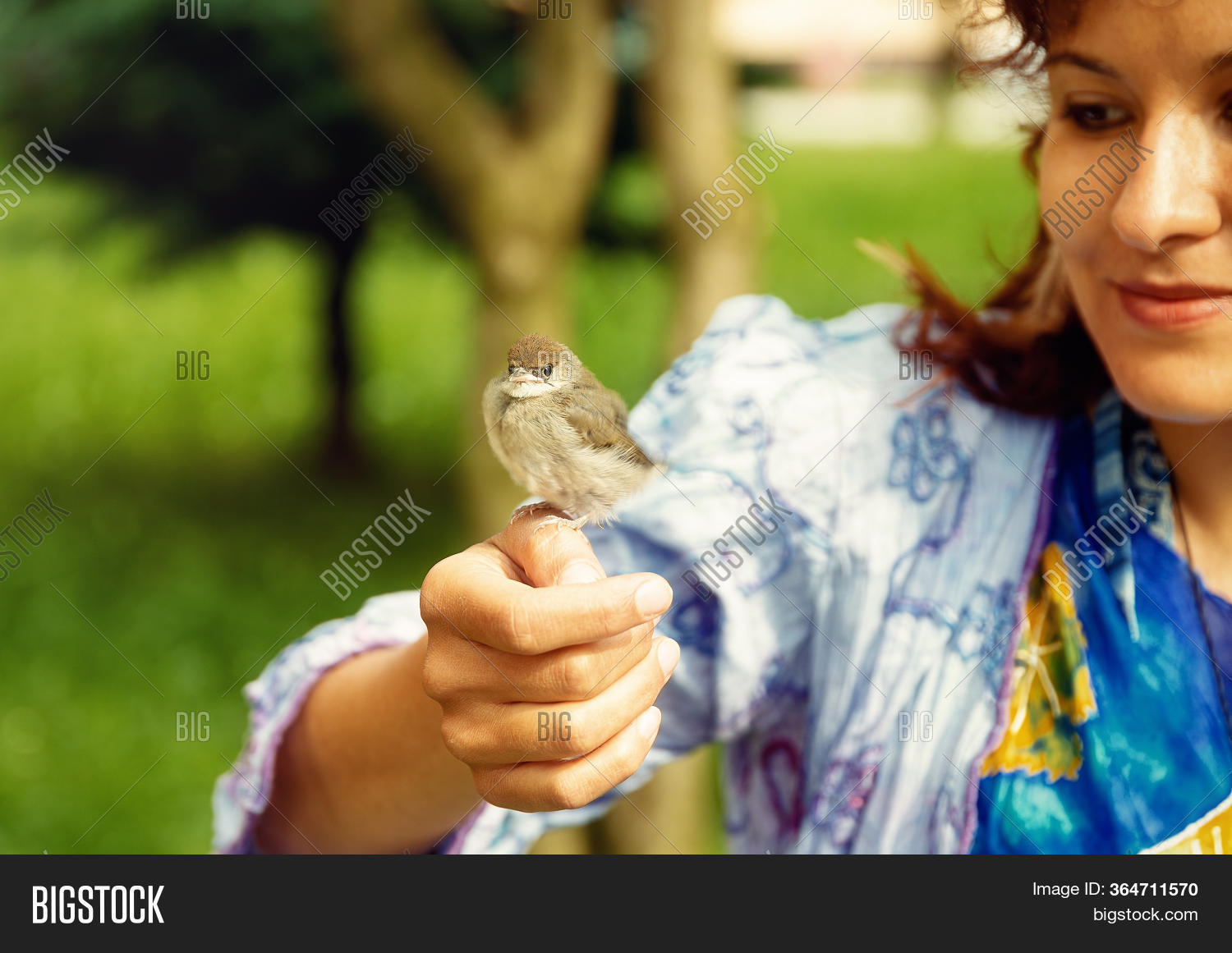 Woman Small Bird. Bird Image & Photo (Free Trial) | Bigstock