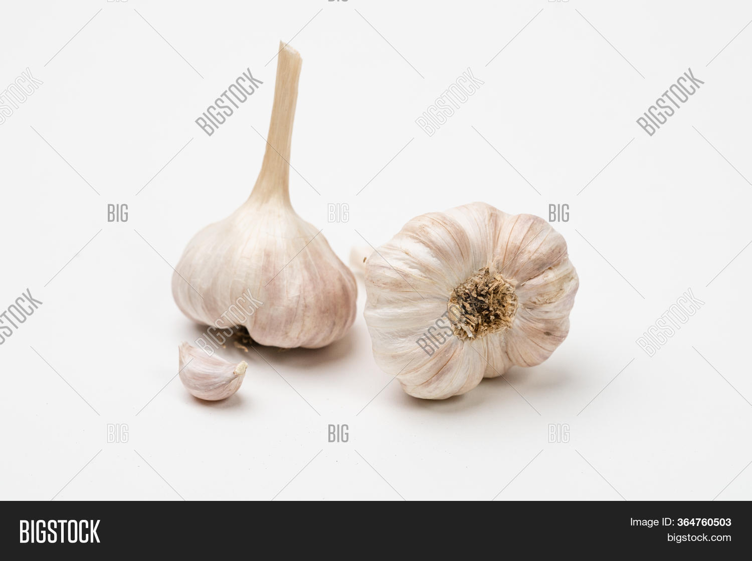 Close- Garlic On White Image & Photo (Free Trial) | Bigstock