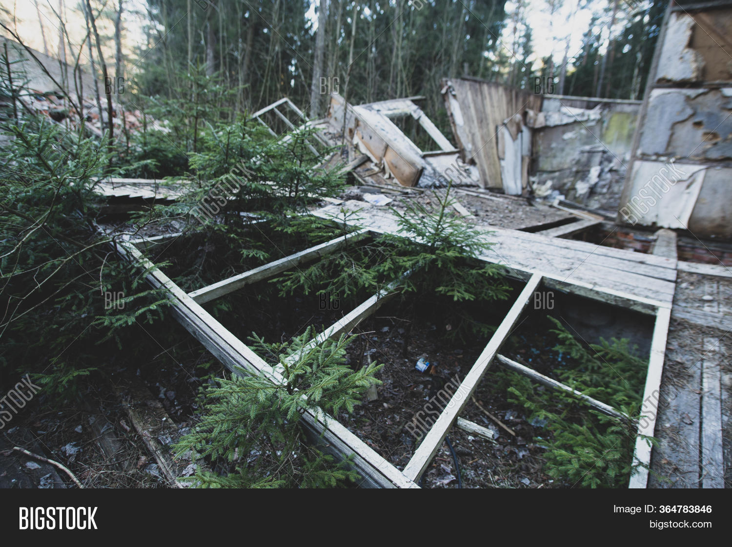 Old Abandoned Soviet Image & Photo (Free Trial) | Bigstock