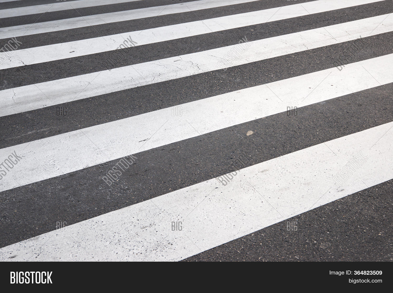 Zebra Crossing Without Image & Photo (Free Trial) | Bigstock