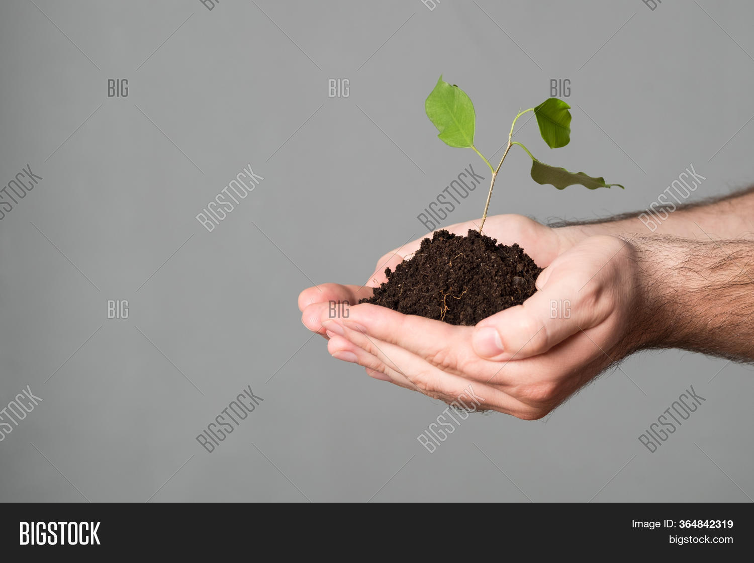 Human Hands Hold Image & Photo (Free Trial) | Bigstock