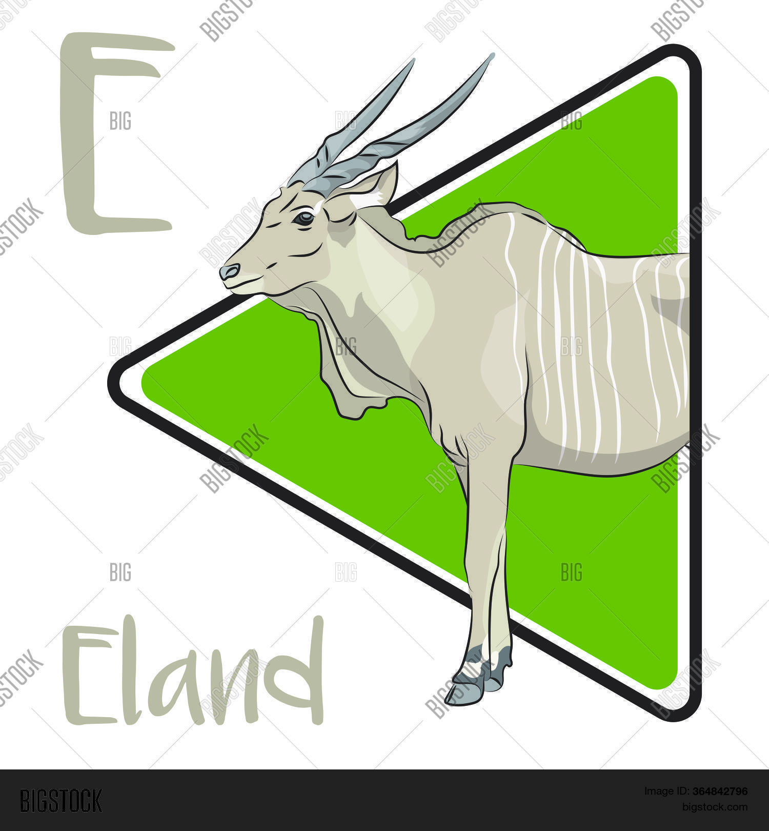 E Eland, Animal Vector & Photo (Free Trial) | Bigstock