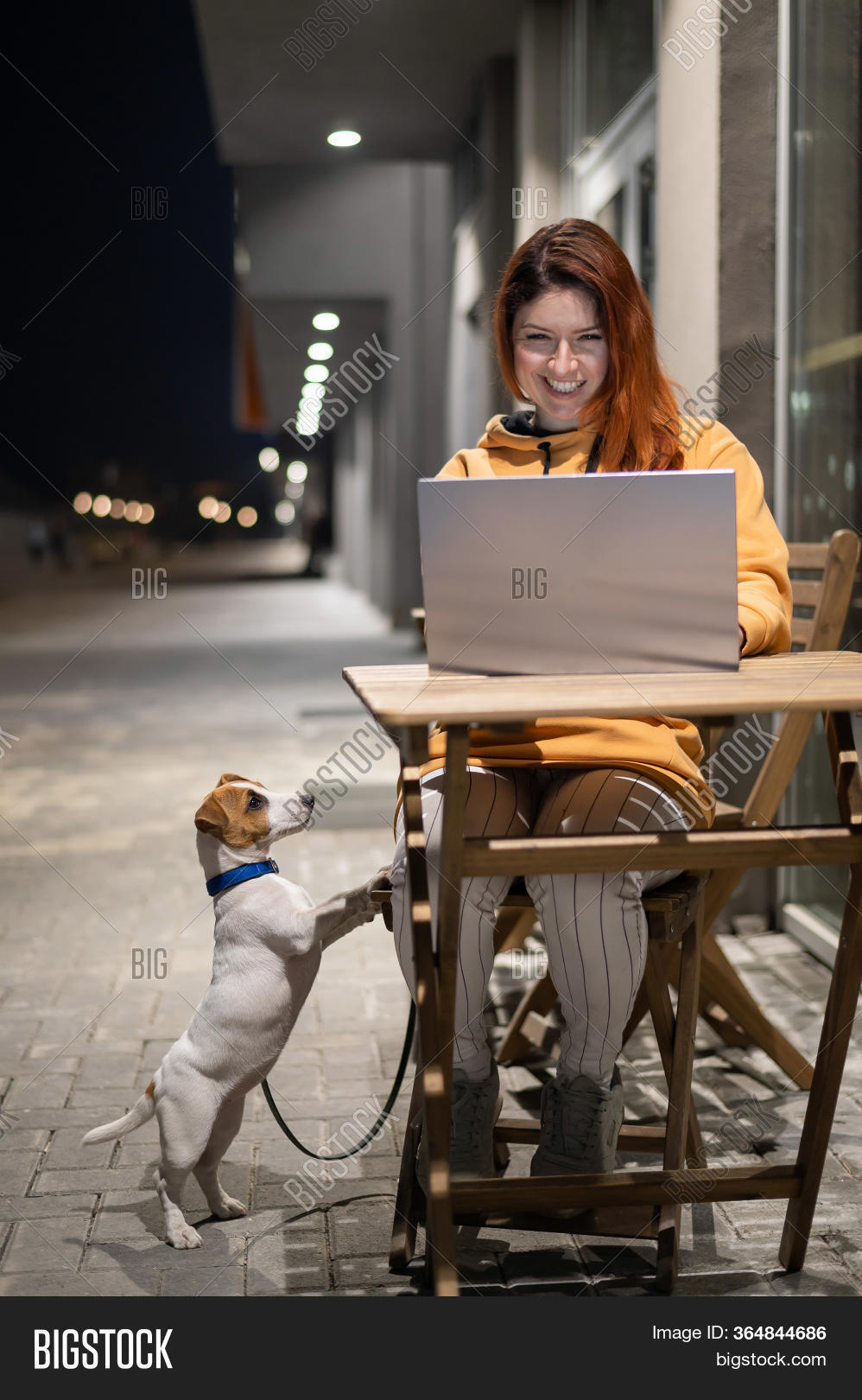 Smiling Woman Working Image & Photo (Free Trial) | Bigstock