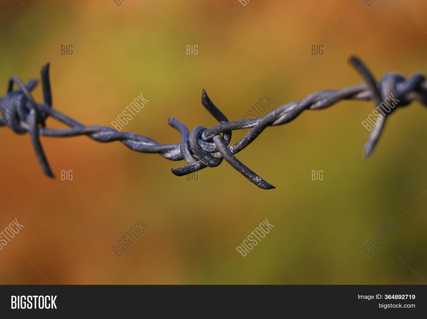 Metal Chain Spike Image & Photo (Free Trial) | Bigstock