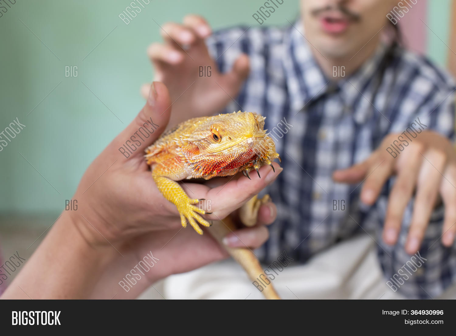 Yellow Lizard Human Image & Photo (Free Trial) | Bigstock